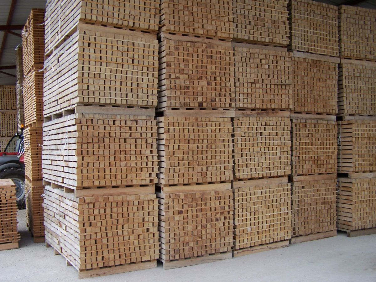 Export bois I WOODY ROUX I Négoce et courtage à l'international
